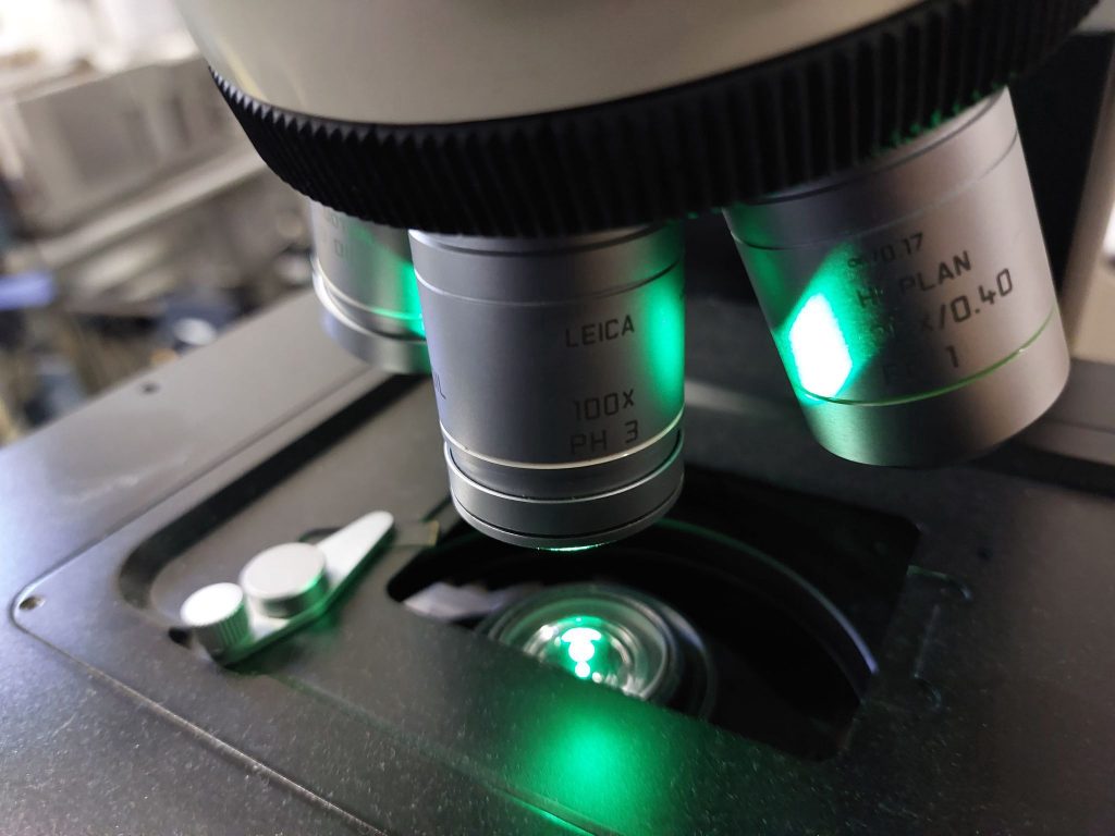 LEICA DM2500 trinocular Microscope with camera – medistore-france